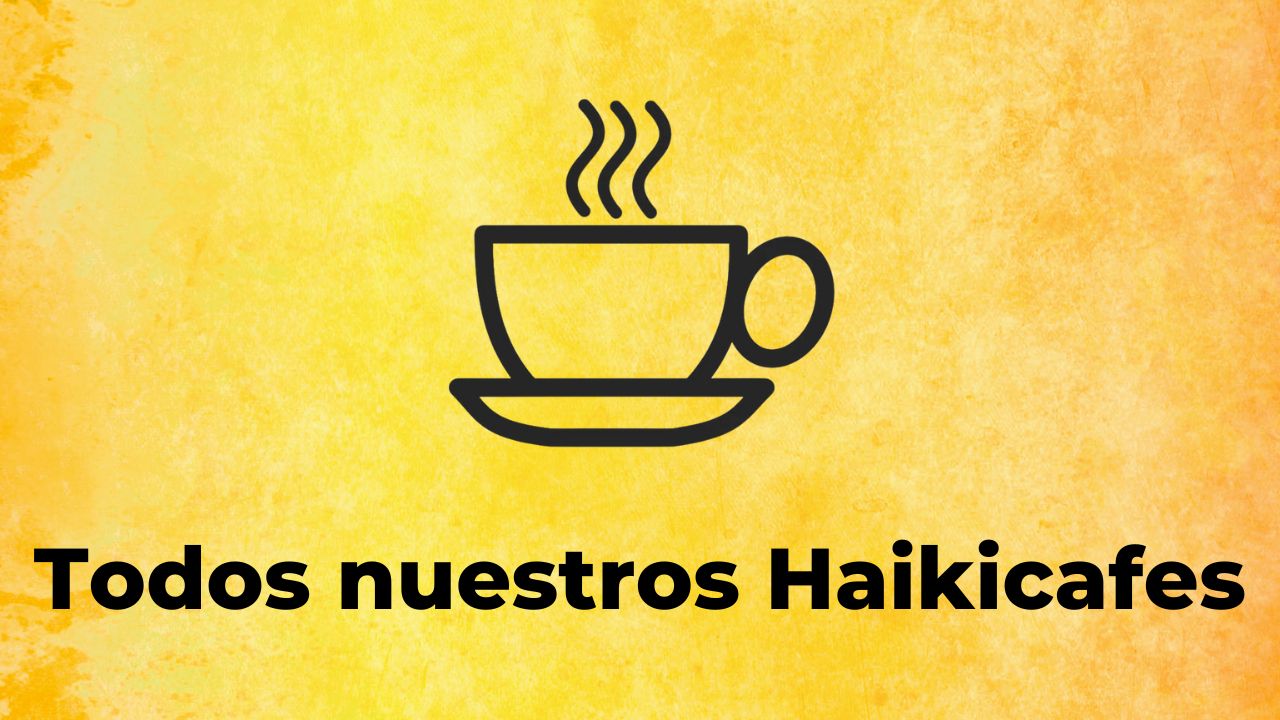 Entrevistas en Haiki – Haiki